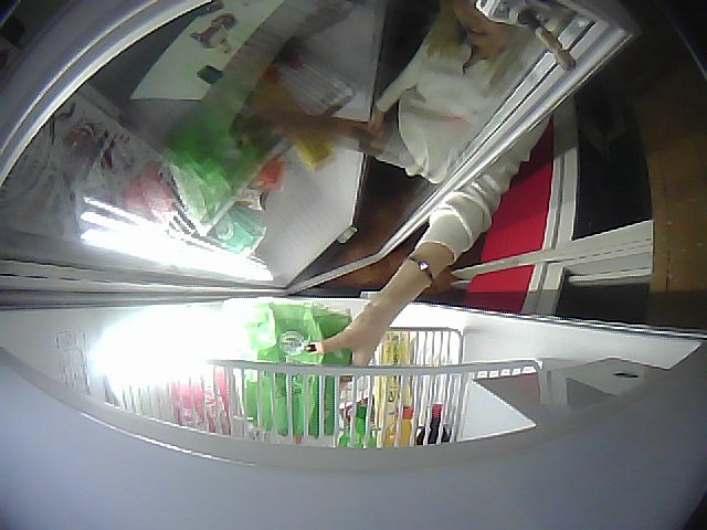 new-kleo-pizza Object Detection Dataset by new kleo cfs 2