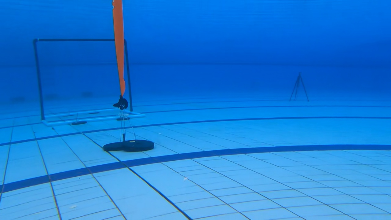 Final Test Object Detection Dataset And Pre Trained Model By Yathravisionlab