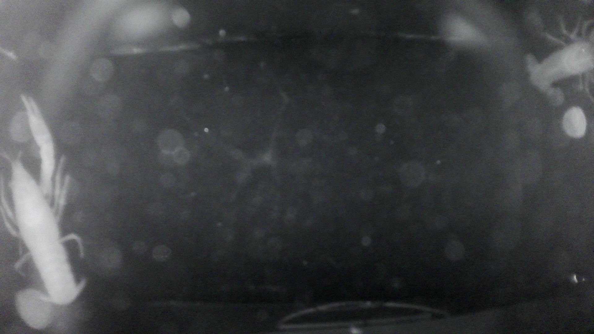 AACTV Object Detection Dataset by AATCV