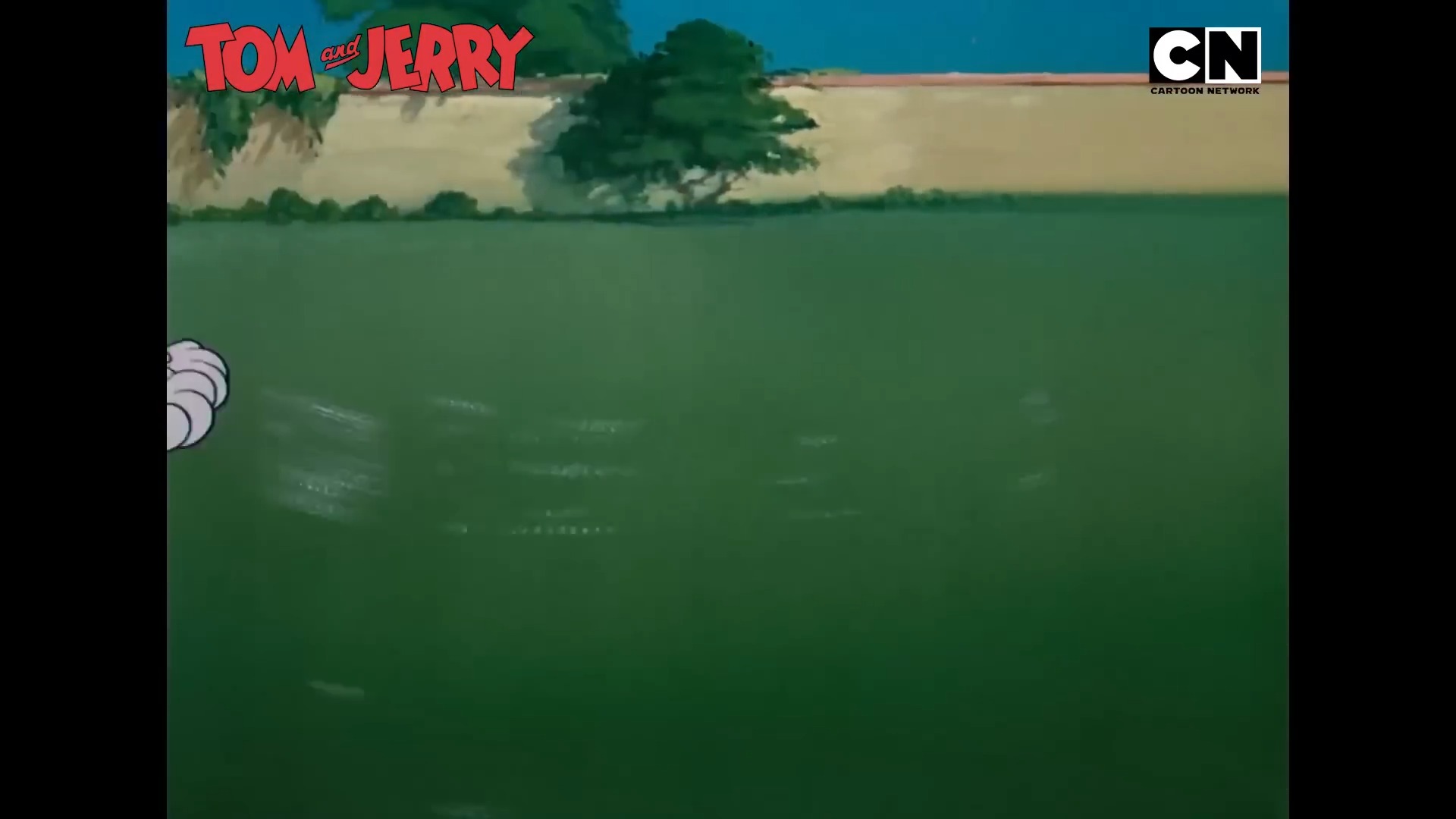 tom and jerry Object Detection Dataset by Transportation Detection