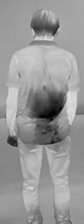 Thermal_image_weapon_detection Object Detection Dataset by My workspace