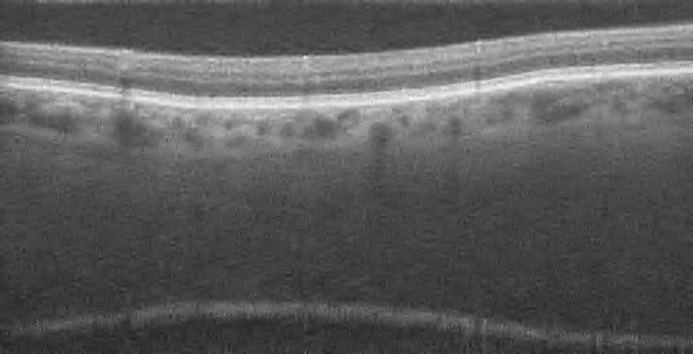 CX330 (cx330-nu7lz) - Roboflow Universe