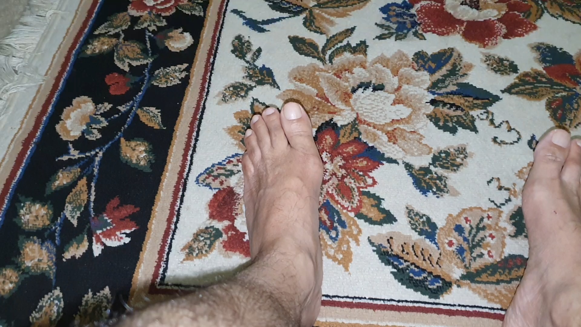 foot_detector Semantic Segmentation Dataset by Oms