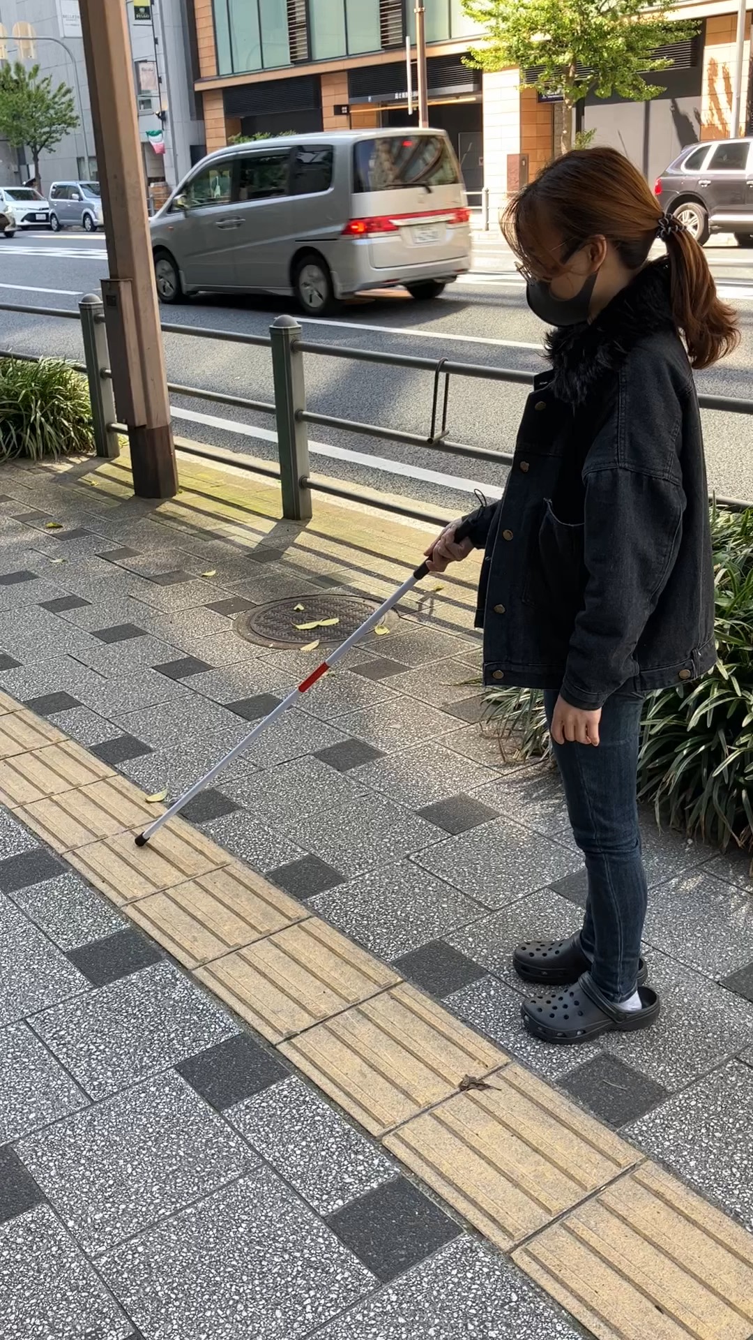 white_cane_7 Object Detection Dataset by project-4v0dw