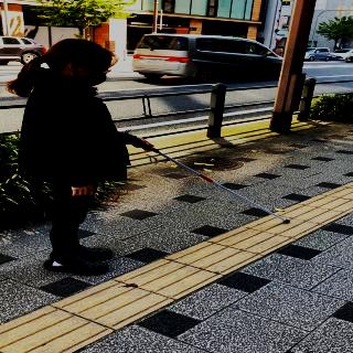 white_cane_only5 Object Detection Dataset by project-4v0dw