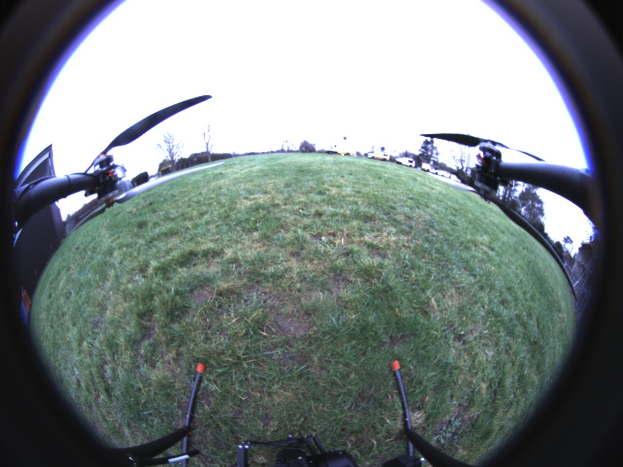 May Project Instance Segmentation Dataset And Pre Trained Model By Imperial