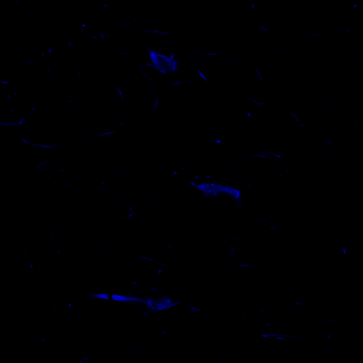 Test 1 Object Detection Dataset By Mytest