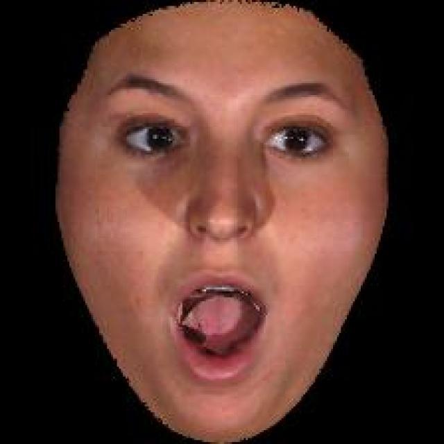 face Object Detection Dataset by project-tyjoa