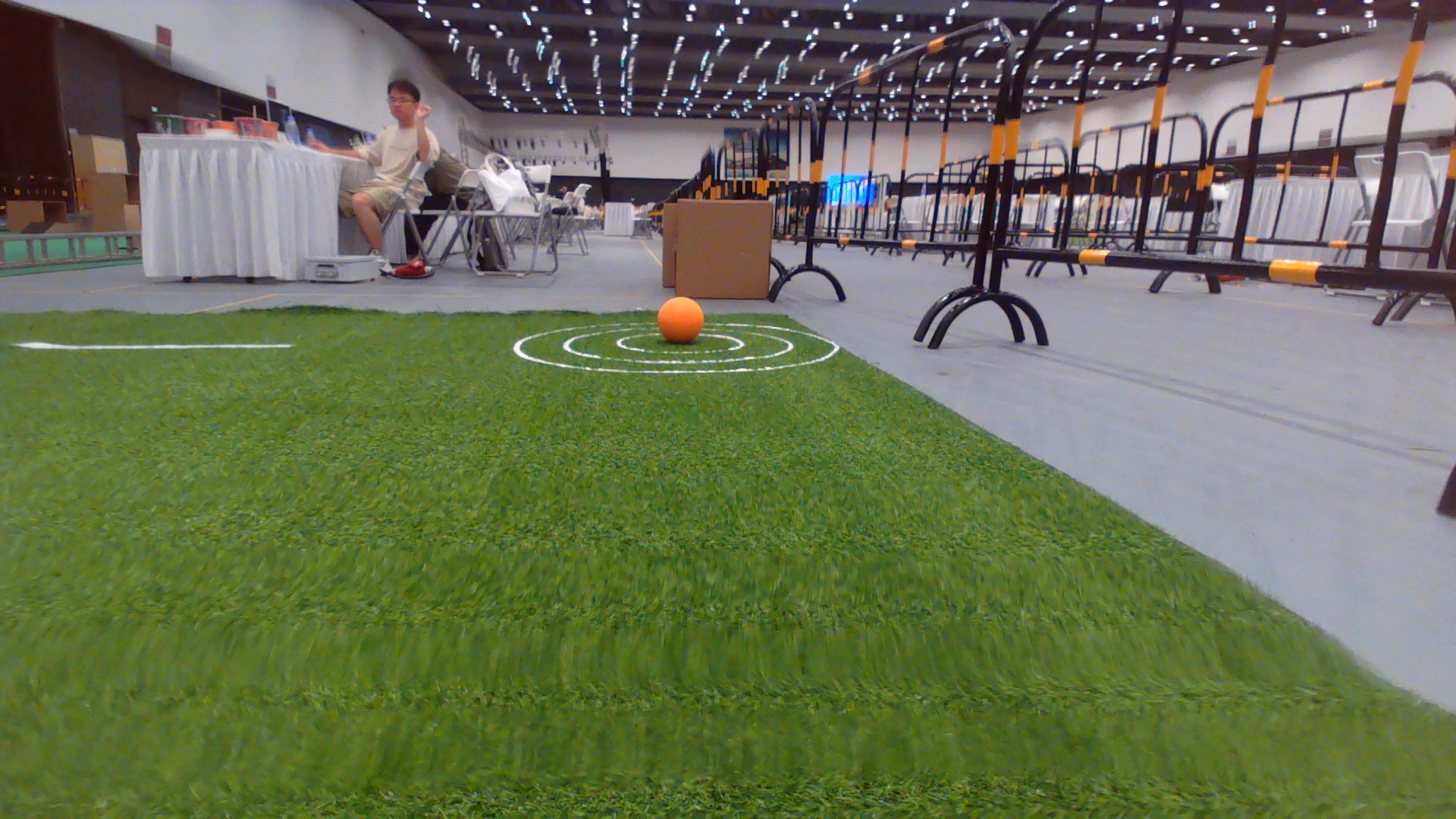 ball Object Detection Dataset by project-cfvwp