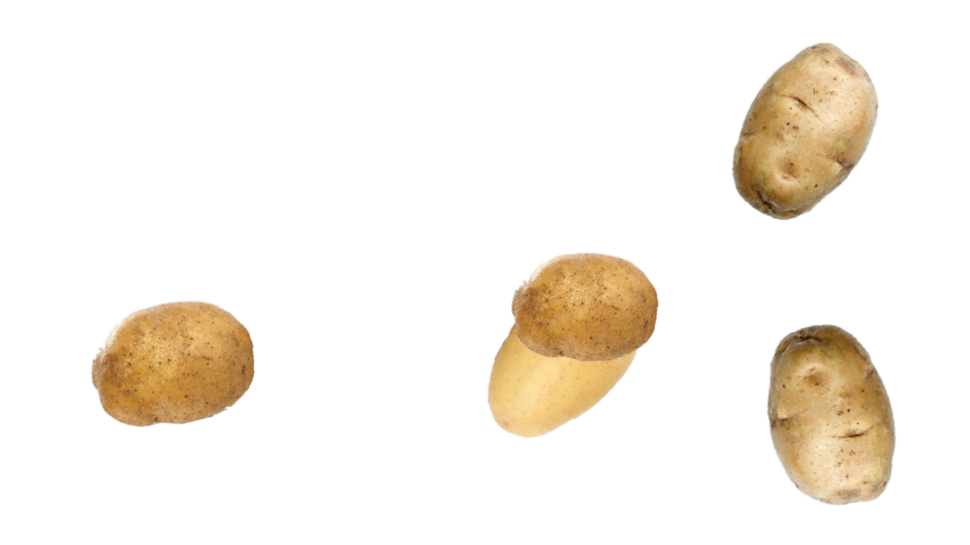 How to Use the vegetables_detecter Object Detection API