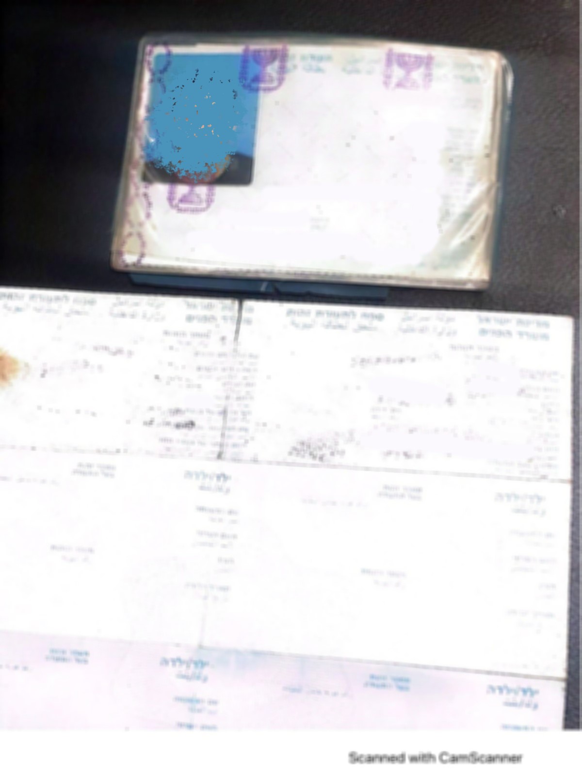 instance segmentation v6 Instance Segmentation Model by Anastasiia Myronchenko