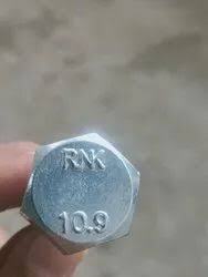 Nuts Object Detection Dataset and Pre-Trained Model by Zd sandbox