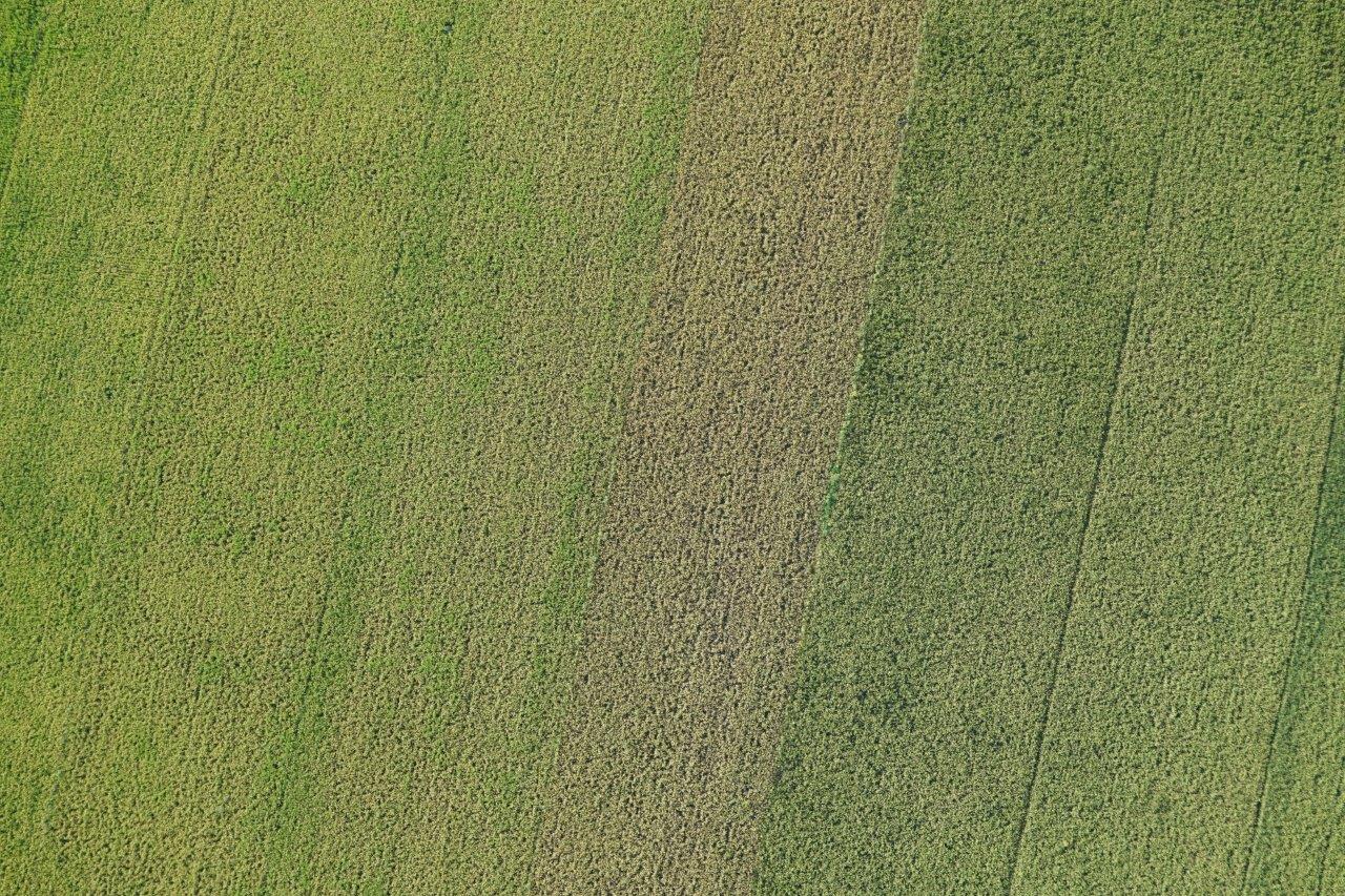 Trial data VTOL Klaten Object Detection Dataset and Pre-Trained Model ...