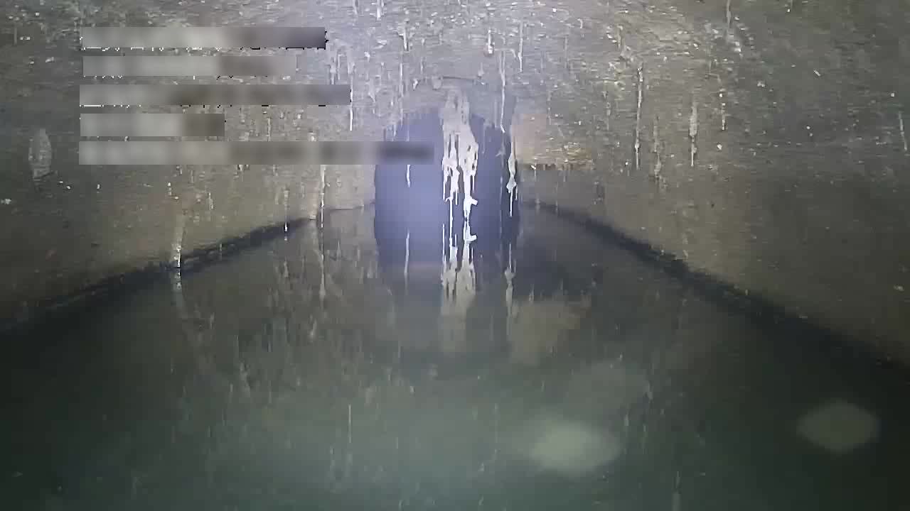 root Object Detection Dataset by kino