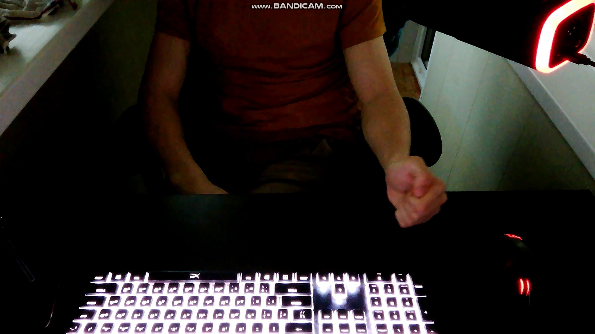 gesture control Instance Segmentation Dataset and Pre-Trained Model by power transmission line