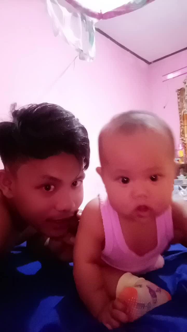 Filtering Classification Dataset And Pre Trained Model By Content Based