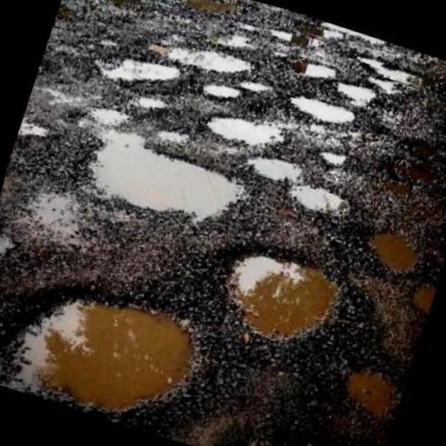 pot-seg Instance Segmentation Dataset and Pre-Trained Model by pothole