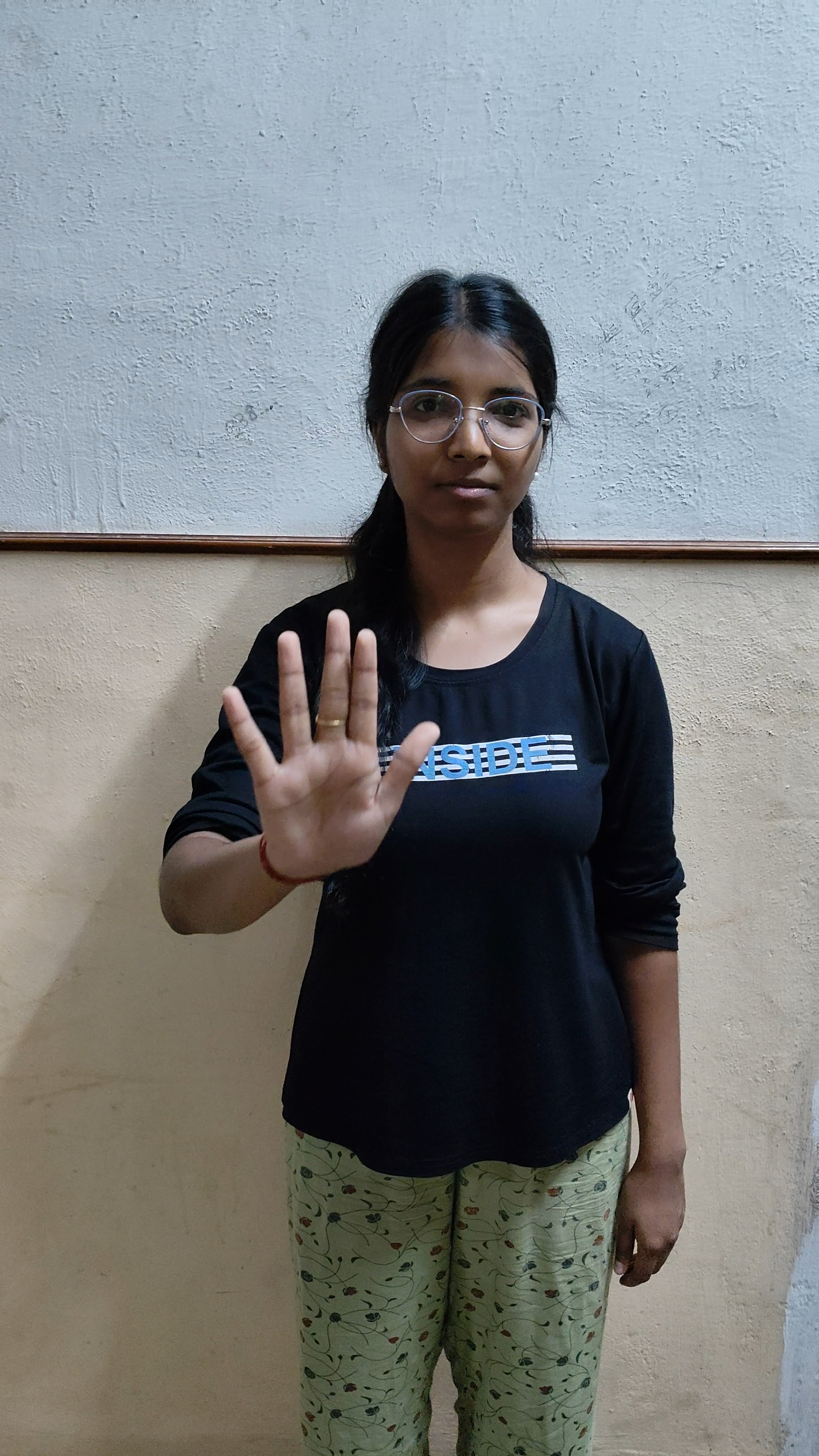 ISLE Object Detection Dataset by Sign language detection