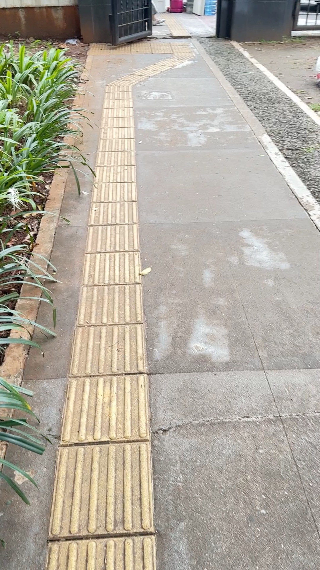 Combine Dataset Computer Vision Dataset by AI Junior Award