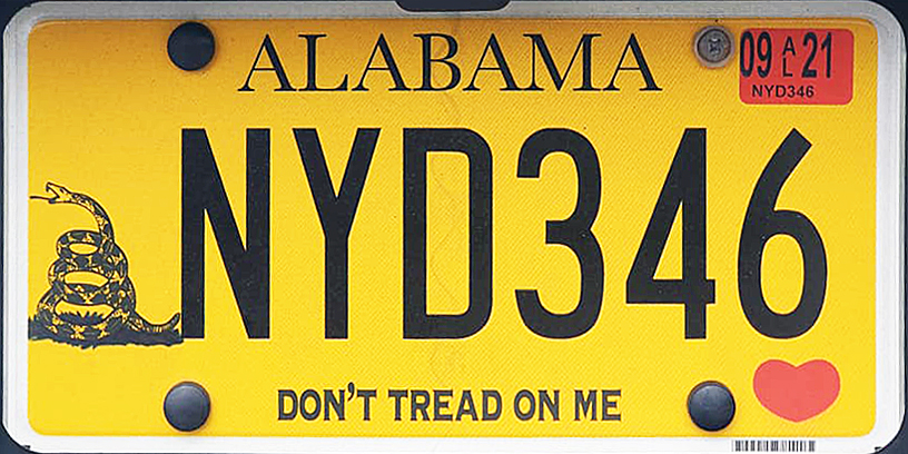 LPR Object Detection Dataset and Pre-Trained Model by LUMS