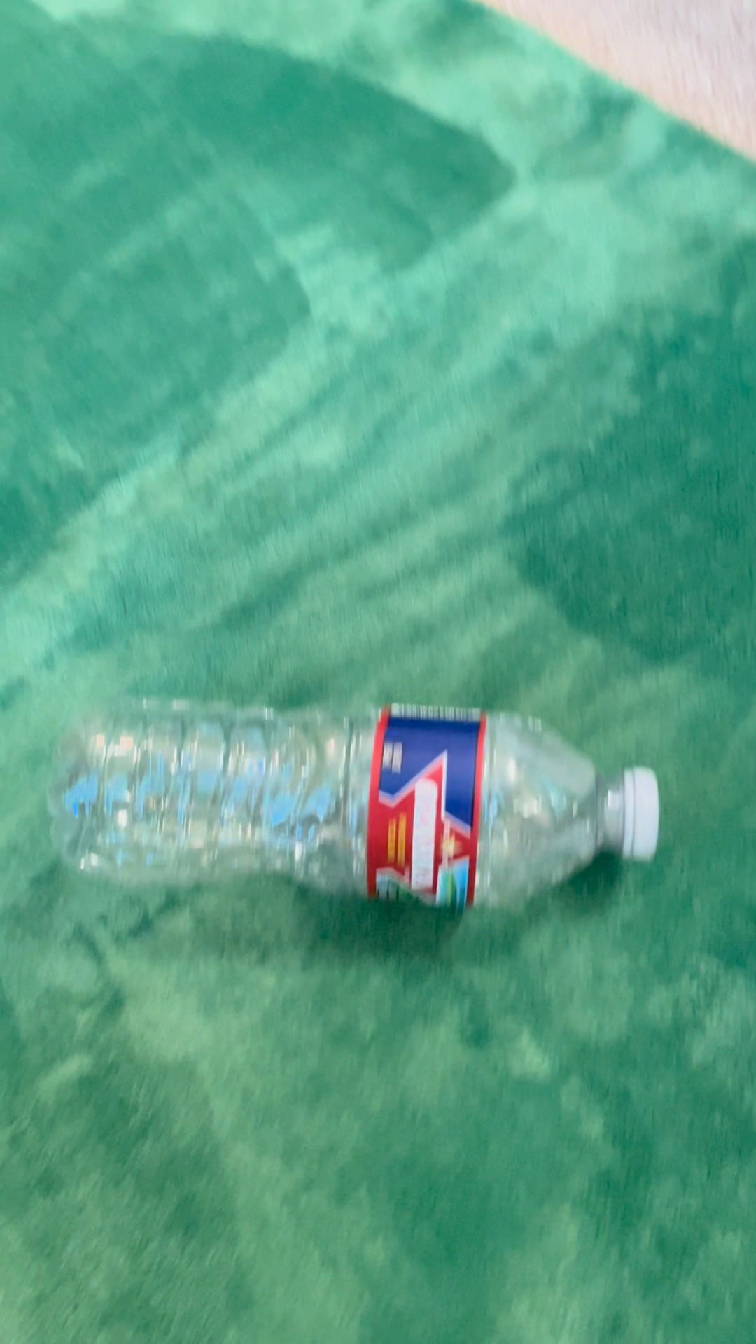 Litter Object Detection Dataset And Pre Trained Model By Senior Design