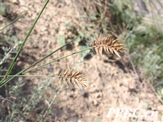 Top Jjj Datasets and Models | Roboflow Universe