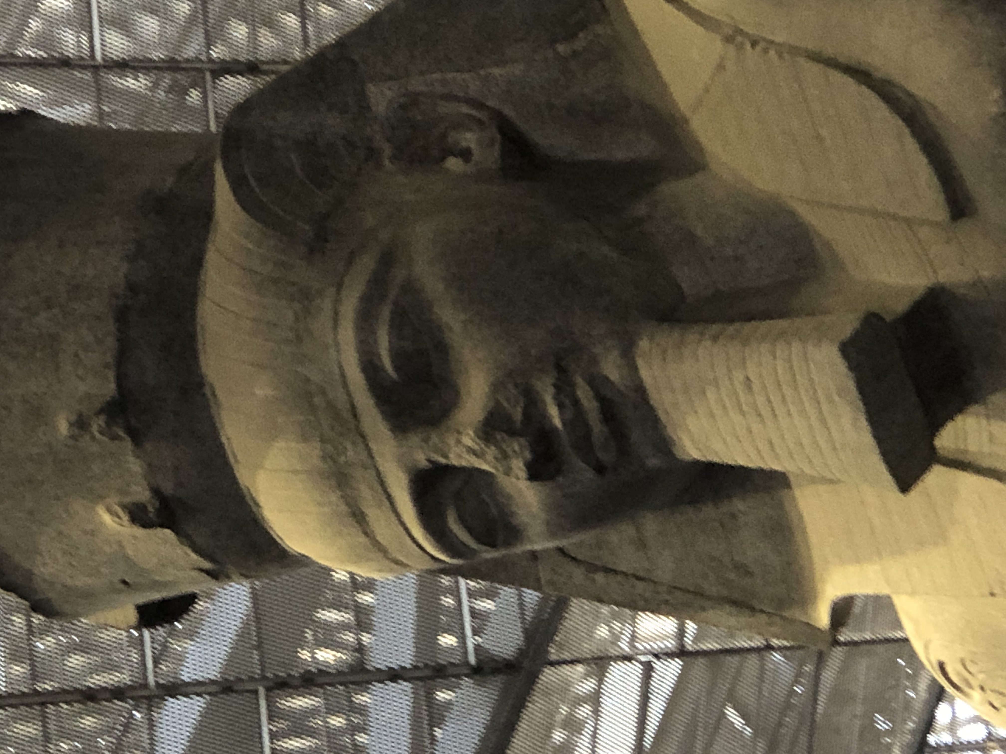 Ra's vision Object Detection Dataset by Egyptian Artifacts