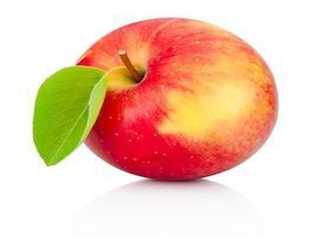 apple_cnn Classification Model by Hipensan