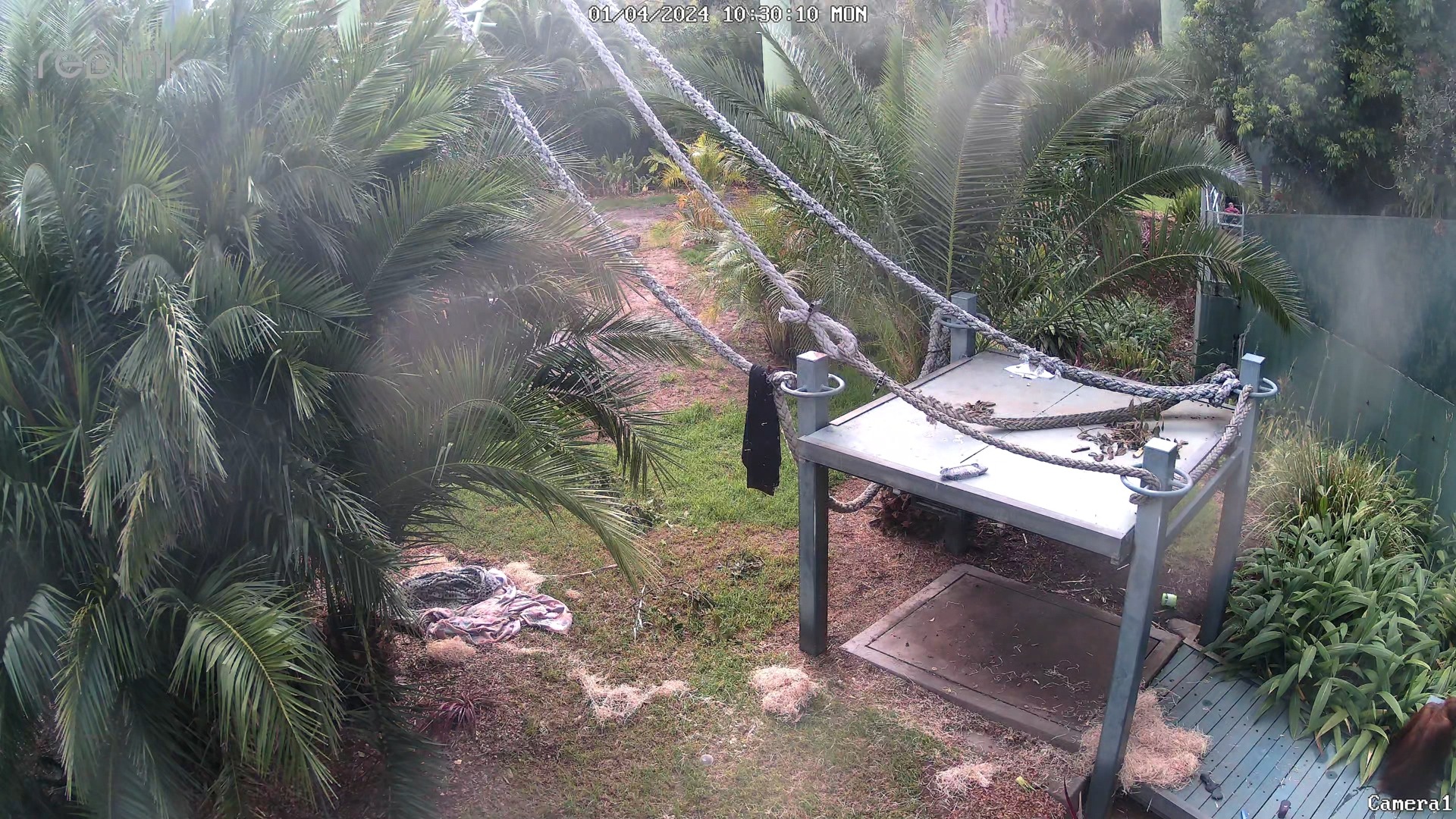 Adv Topics Keypoint Detection Model by roboflow