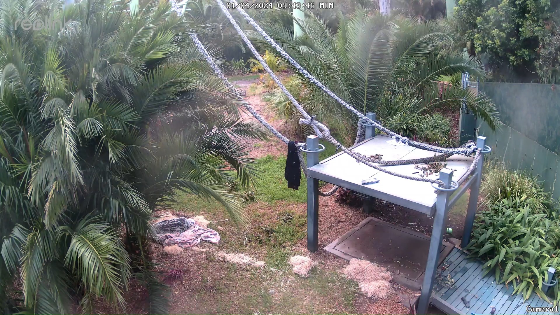 Detect And Classify Single-label Classification Classification Dataset by roboflow