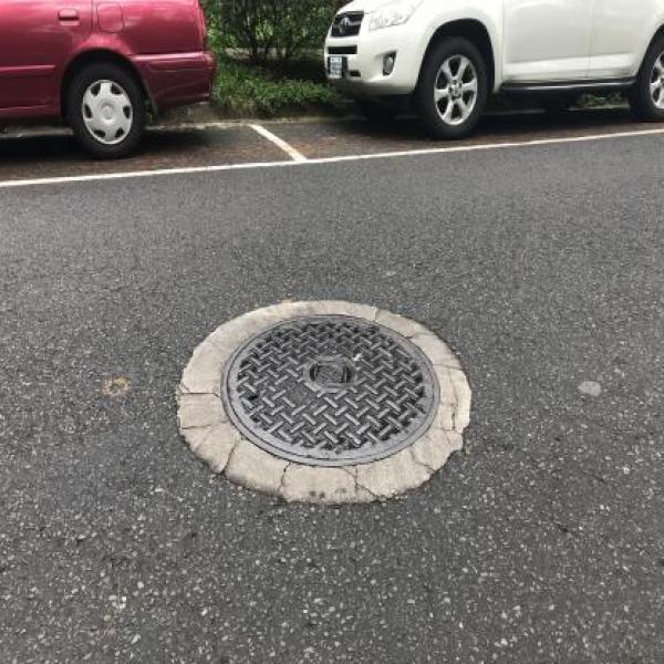 manholes Object Detection Dataset by asa