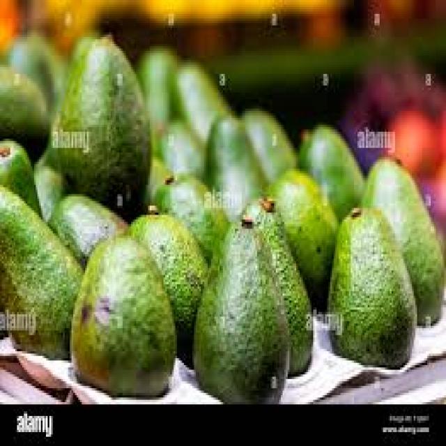 alpukat-pepaya Object Detection Model by LatihanCNN