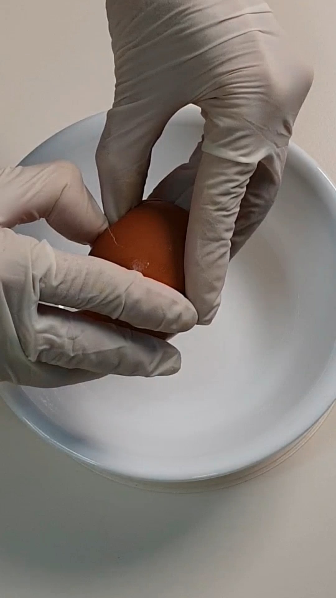 project2 Object Detection Dataset by young