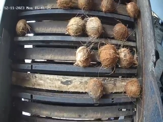 coco Object Detection Model by ninkspaces