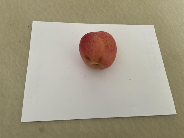 Food waste Object Detection Dataset by Chathura Kularathna