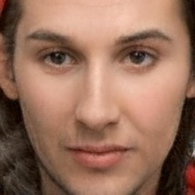 Face Object Detection Dataset V1 2024 09 29 12 55am By Jayden