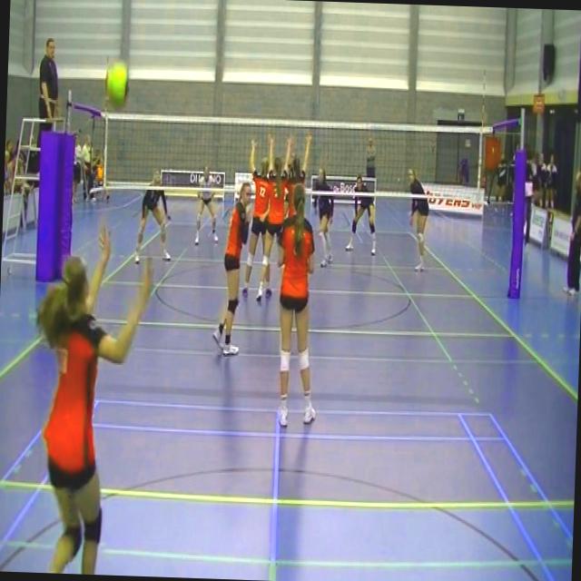volleyball Object Detection Dataset by sportrackr