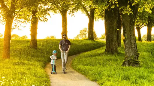 Kickboard Object Detection Dataset and Pre-Trained Model by kickboard