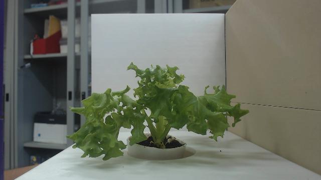 food detection (food-detection-a3dtf) - Roboflow Universe