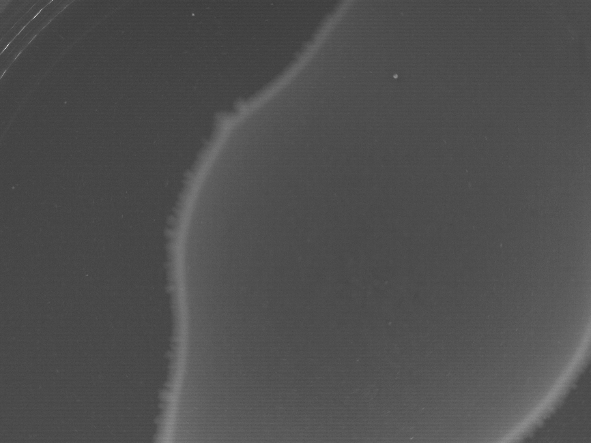 FangYen Lab - Roboflow Universe