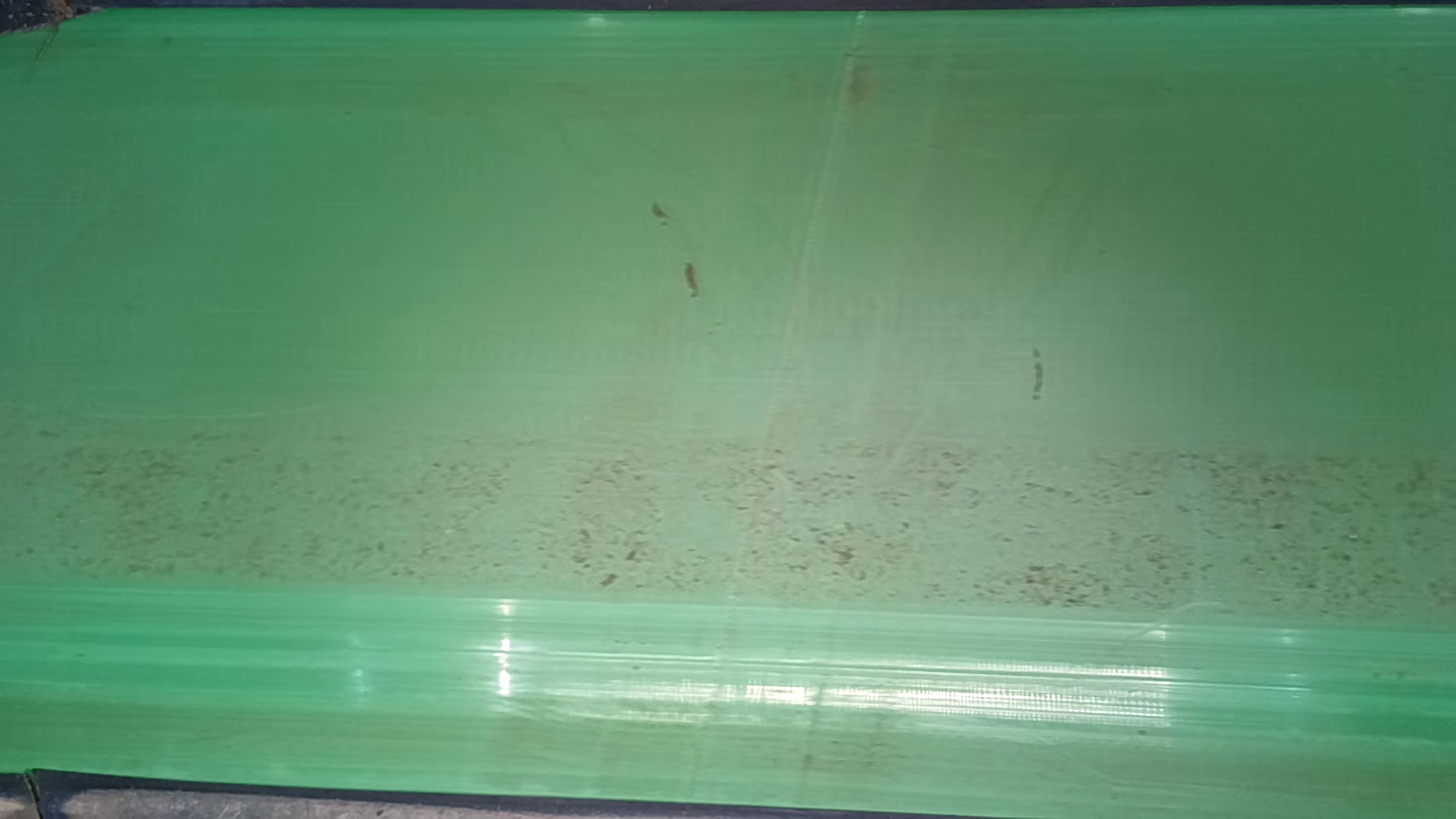 Miscanthus counting Object Detection Dataset and Pre-Trained Model by Miscanthus counting