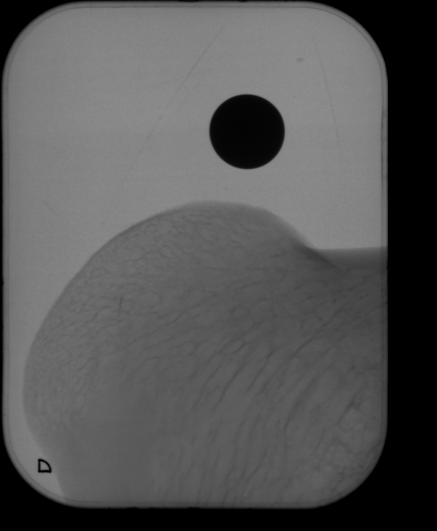 Bachelorarbeit1 Object Detection Dataset and Pre-Trained Model by robin