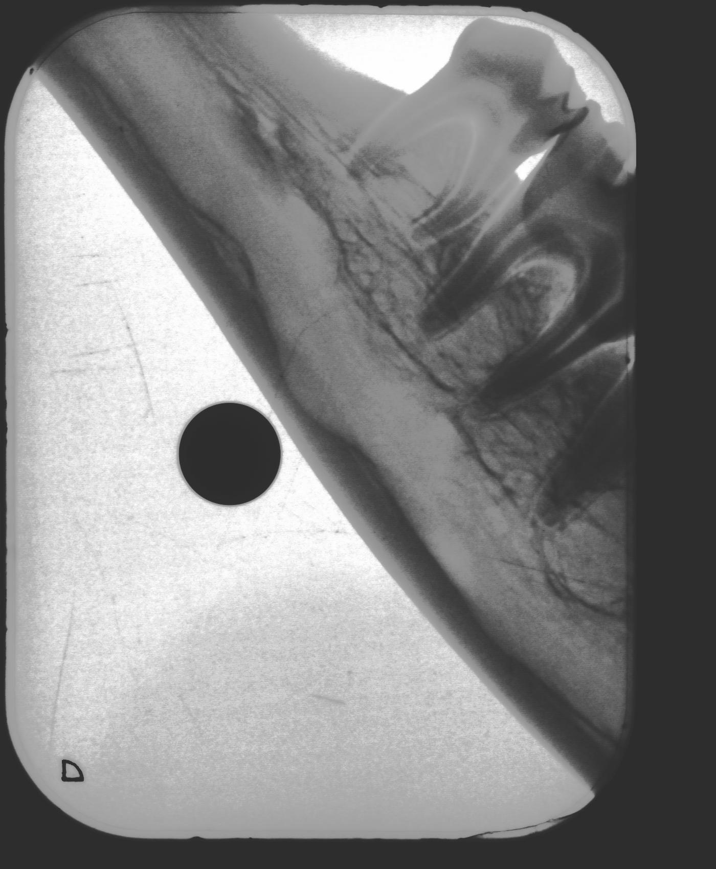 test_classify Classification Dataset by robin