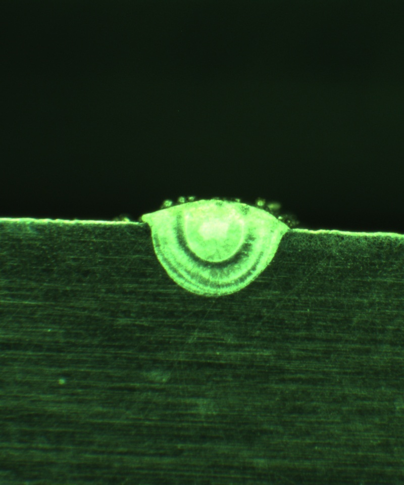 mp_box Object Detection Dataset and Pre-Trained Model by UofTXiao