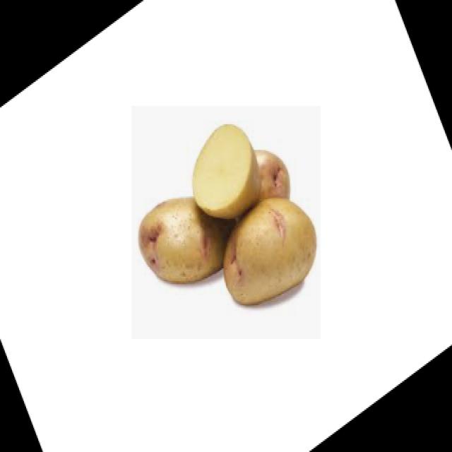 potato Object Detection Dataset and Pre-Trained Model by Fruit assessment 1