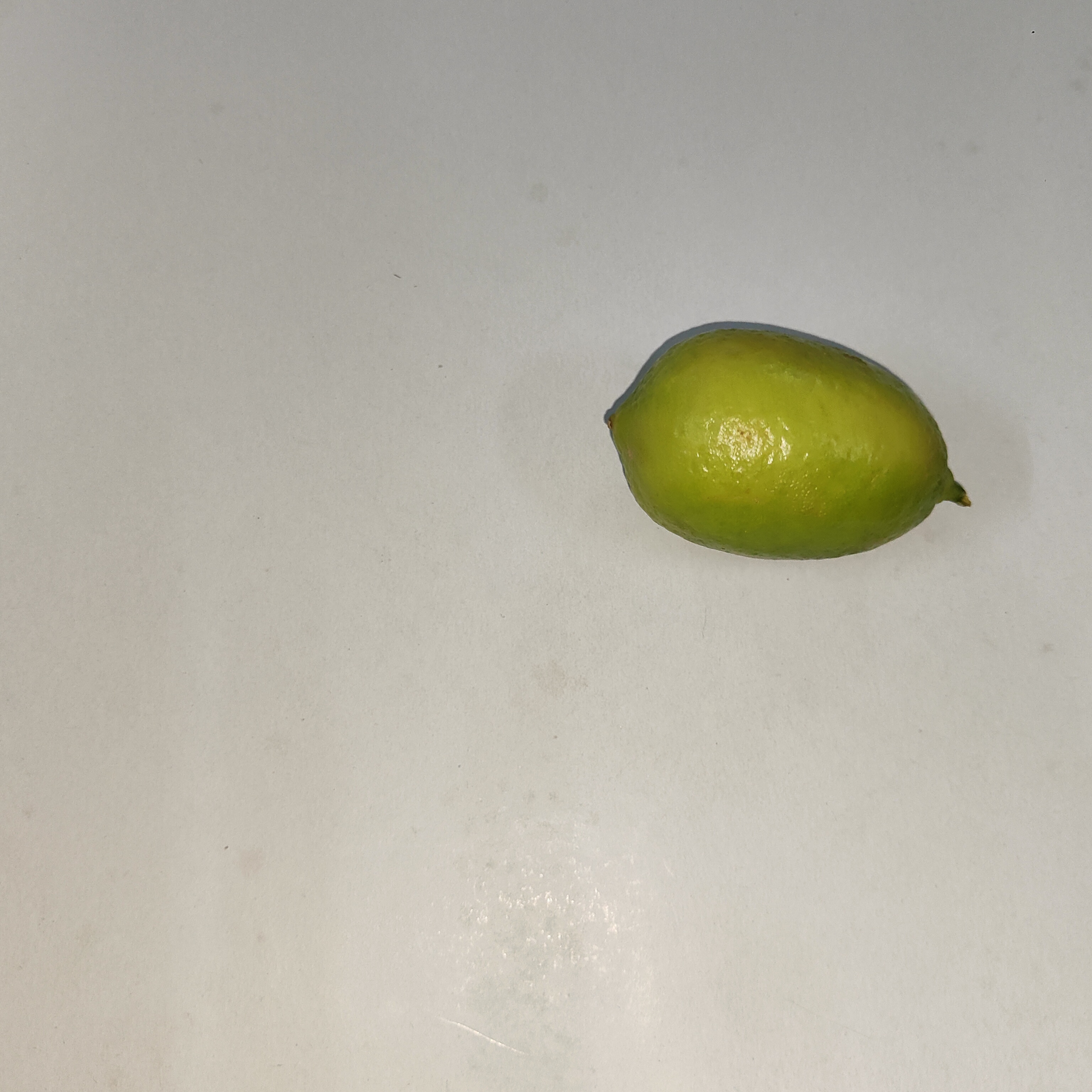 Lemon Object Detection Dataset by Original Data