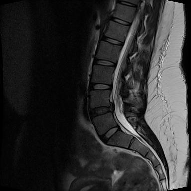 Ivan (ivan-4xyx2) - Roboflow Universe