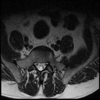 Ivan (ivan-4xyx2) - Roboflow Universe