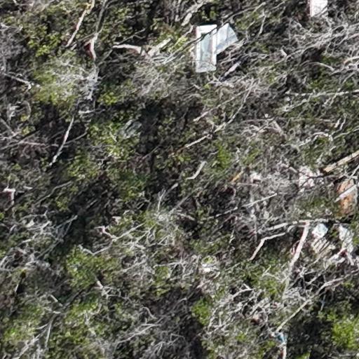 FeatureExtract Instance Segmentation Dataset by GISKernel Technologies