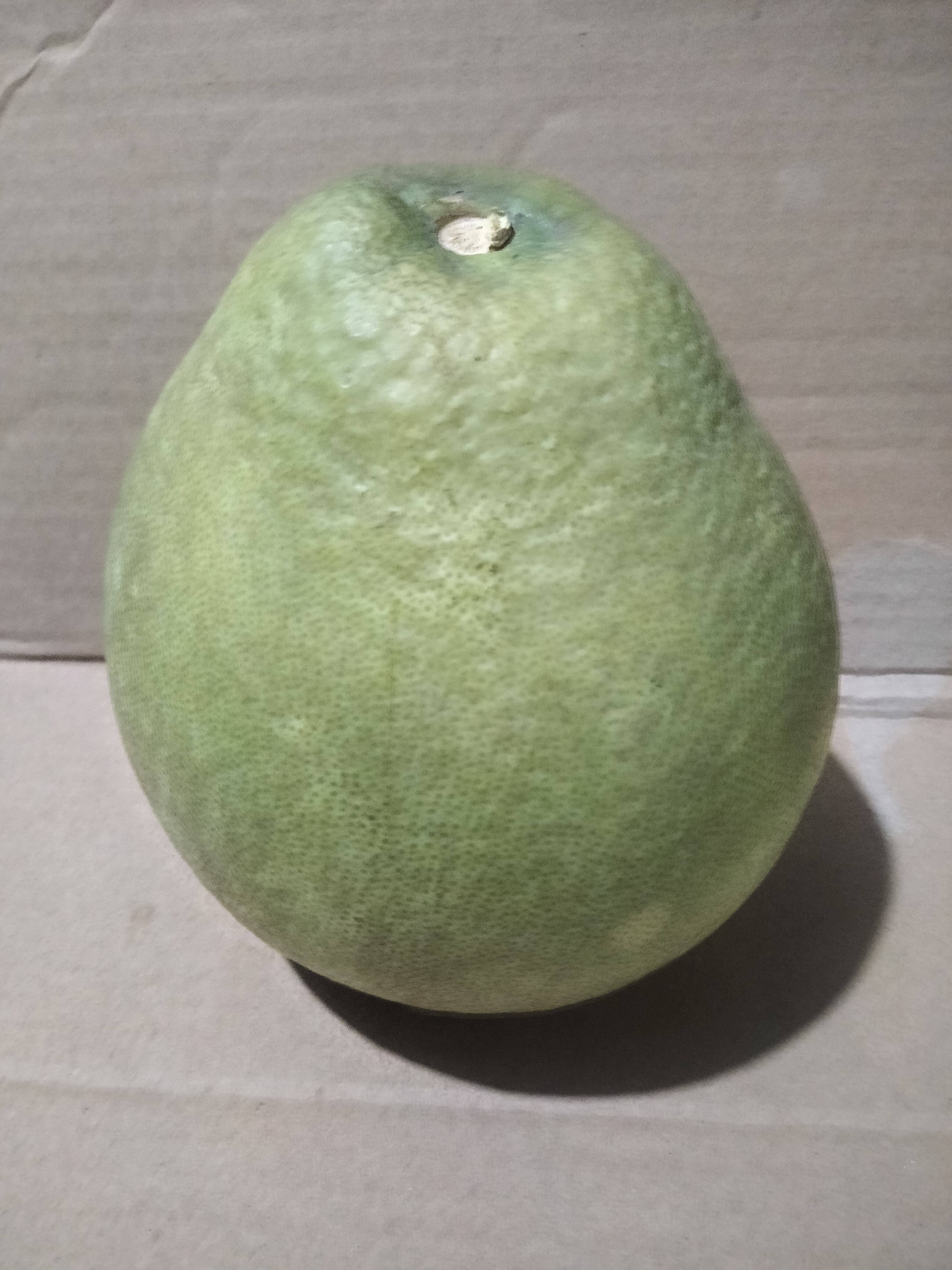 grapefruit Object Detection Dataset by Phanh Fourteen
